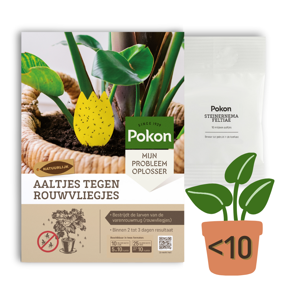Pakket: Pokon Aaltjes Tegen Rouwvliegjes (5 tot 10 planten) + Pokon Bio ...