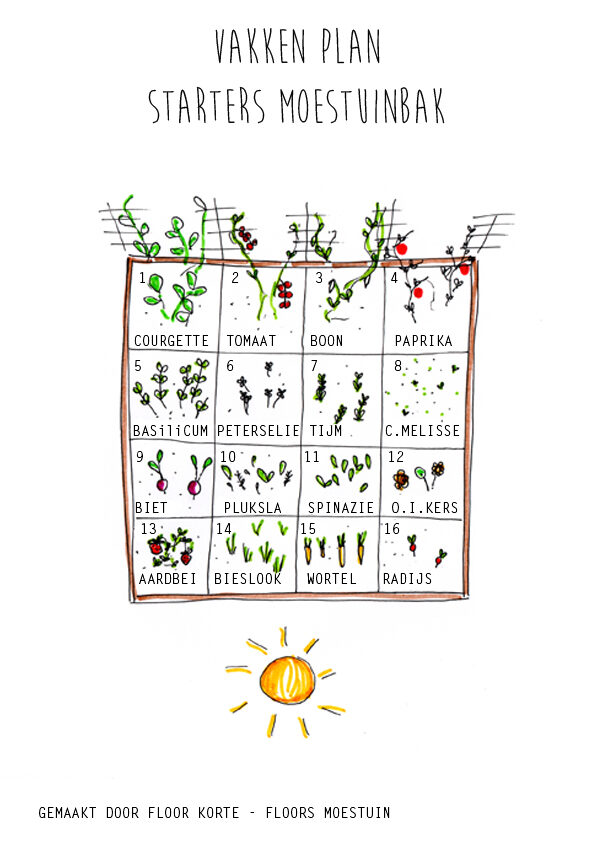 Moestuinbak - Deel 1/4 - Moestuinplan maken - Pokon
