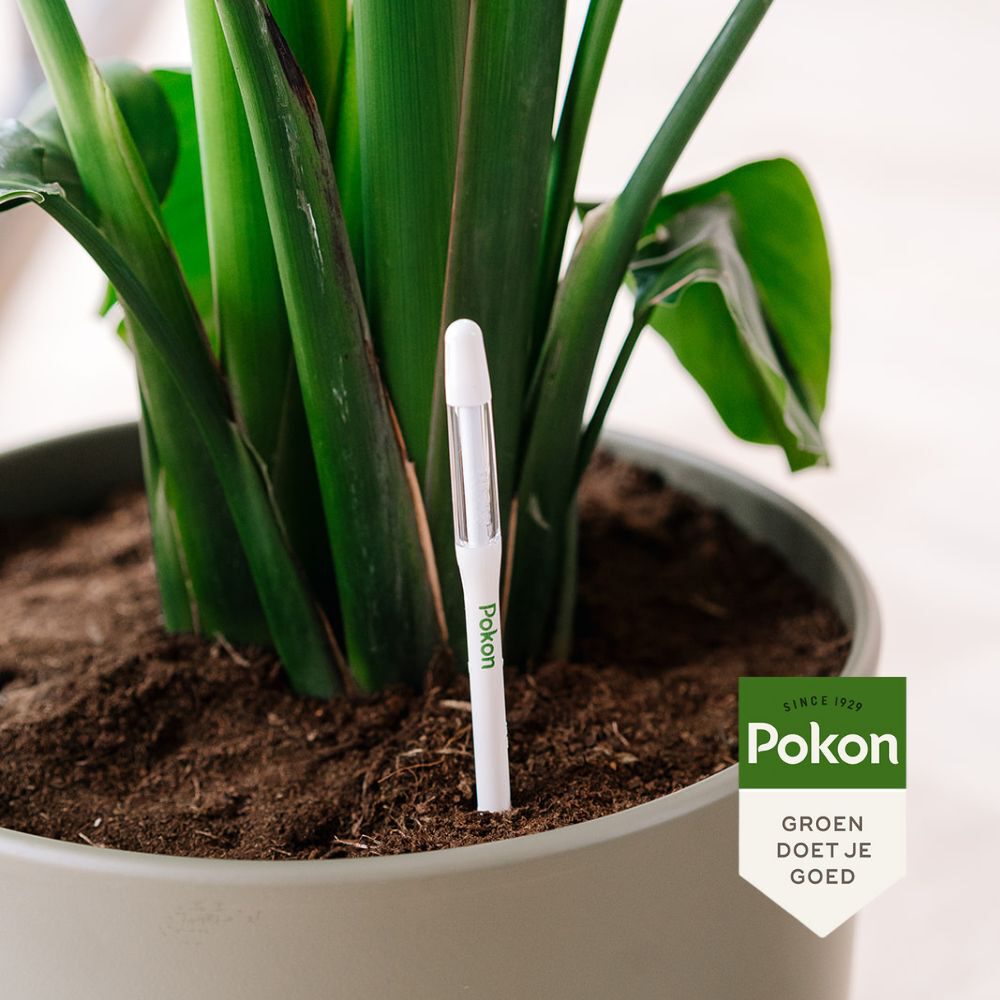 Pokon Watermeter - Pokon
