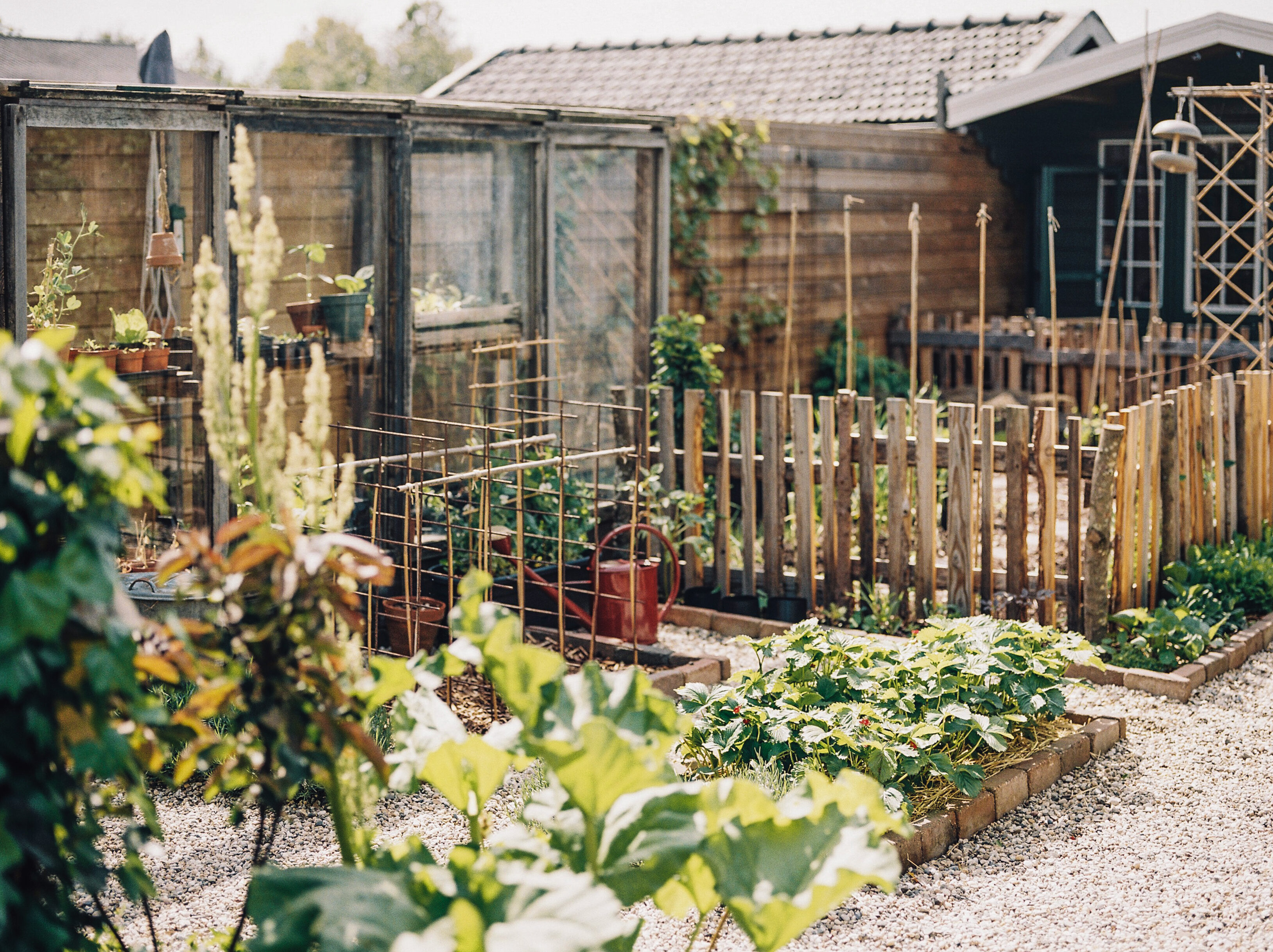 ‘Afval’ hergebruiken in de (moes)tuin - Pokon