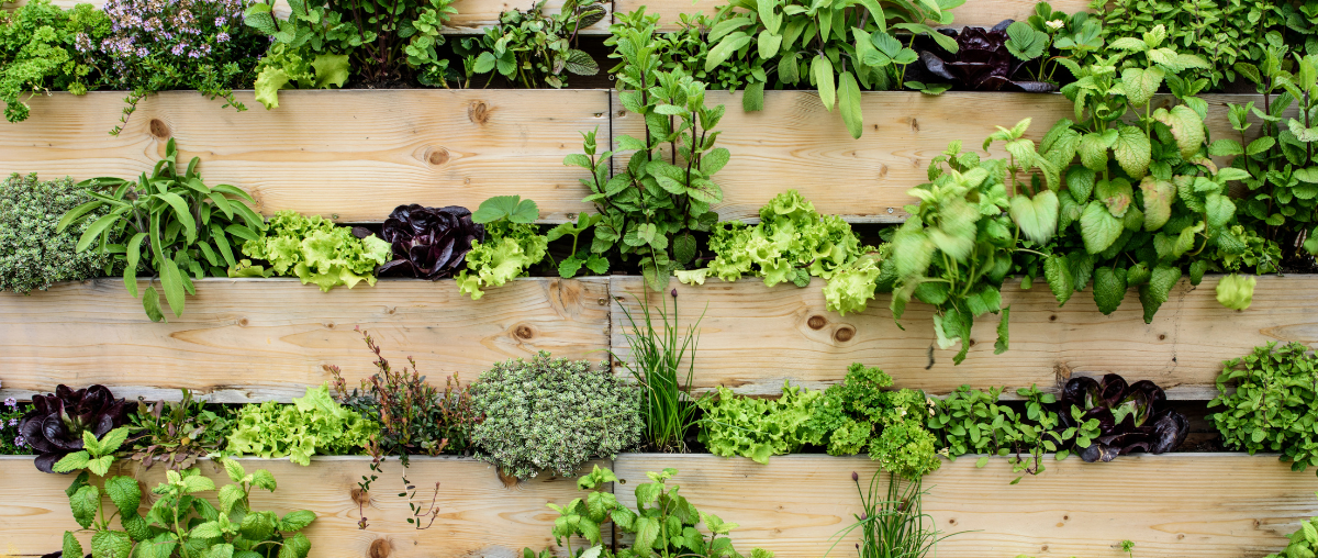 Verticale moestuin - Pokon