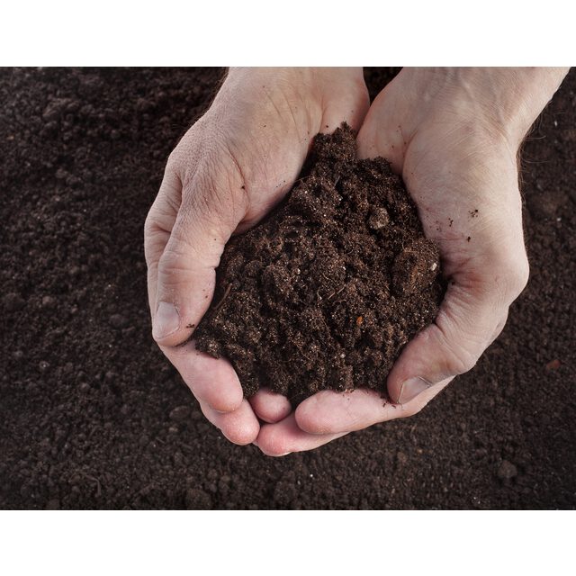 Bestanddelen van potgrond | Wat zit er in een zak potgrond? - Pokon