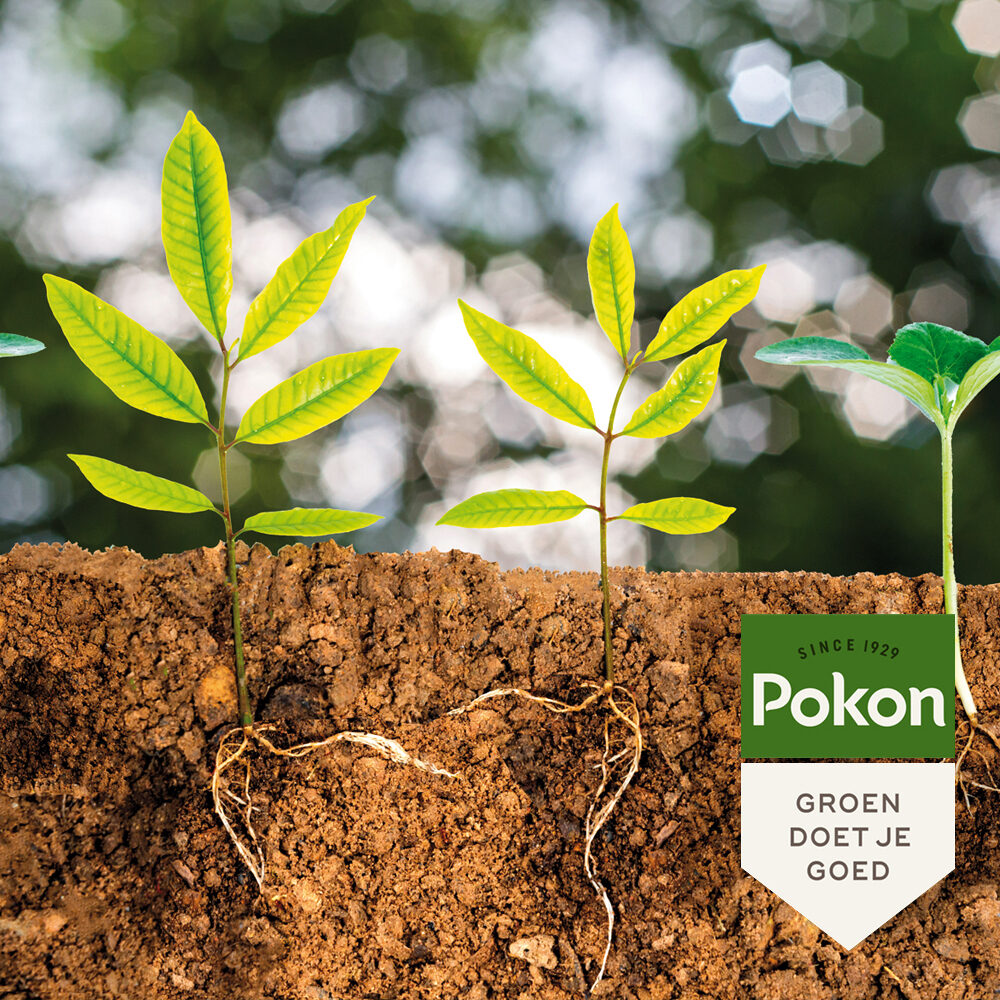 Pokon Bio Kuur Voor een Gezonde Bodem Concentraat 500ml - Pokon