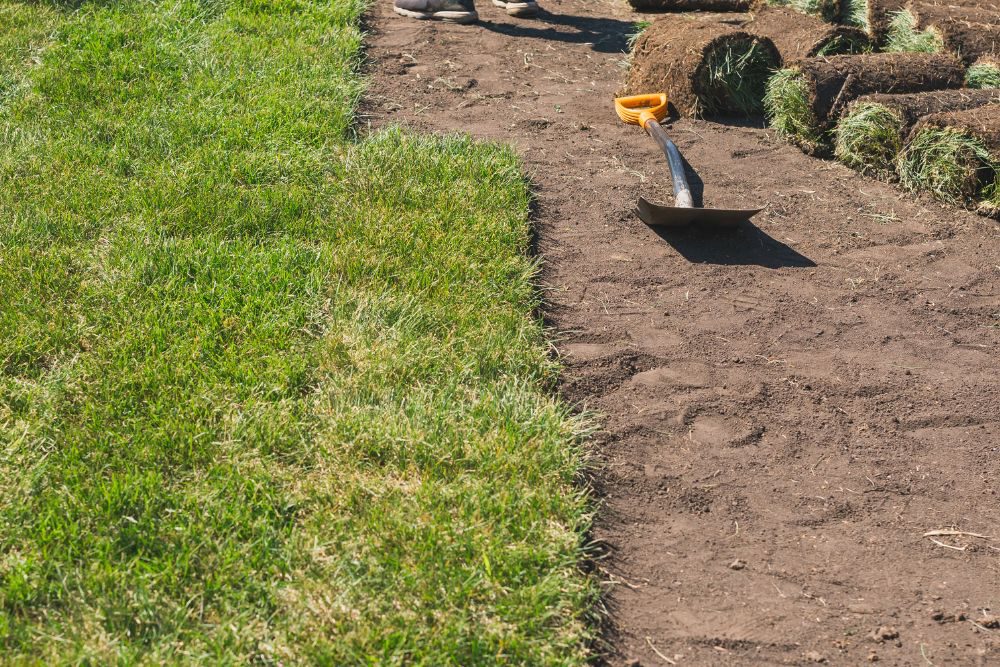 Gras sproeien | Wanneer en hoe vaak? - Pokon