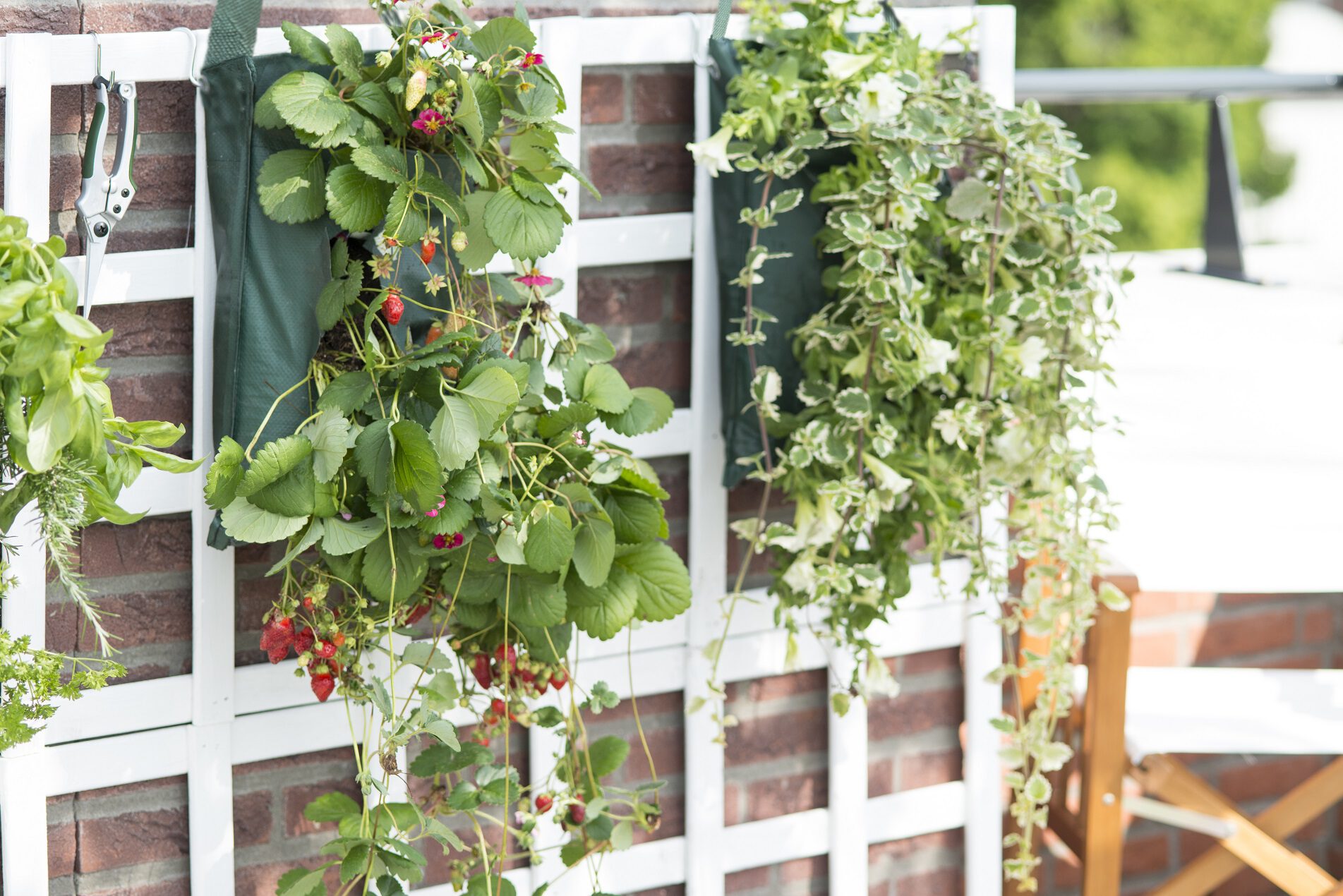 Verticale moestuin - Pokon - Groen doet je goed